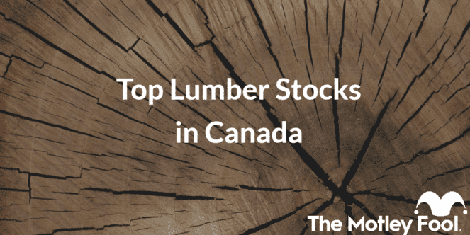 Top Canadian Lumber Stocks of 2023 | The Motley Fool Canada