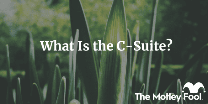 What Is the C-Suite? | The Motley Fool Canada