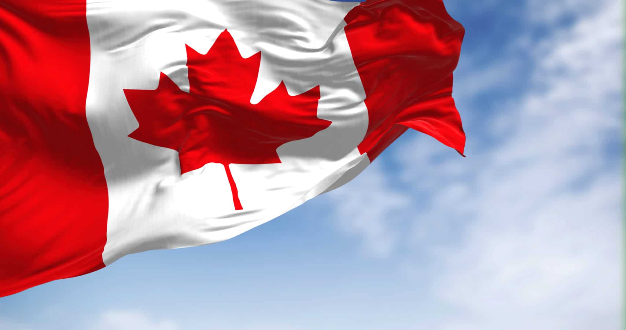 The Ideal Canadian Stocks to Buy and Hold Forever in a TFSA | The ...