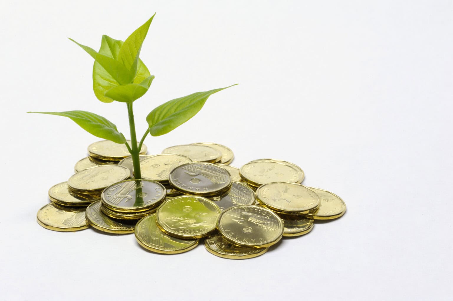 Canadian Dividend Giants: Fortis and BCE Are Key Buys for 2026 | The ...