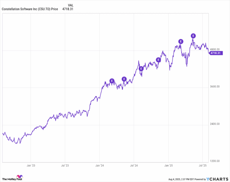 Should You Buy Constellation Software Before August 8? Here's What ...